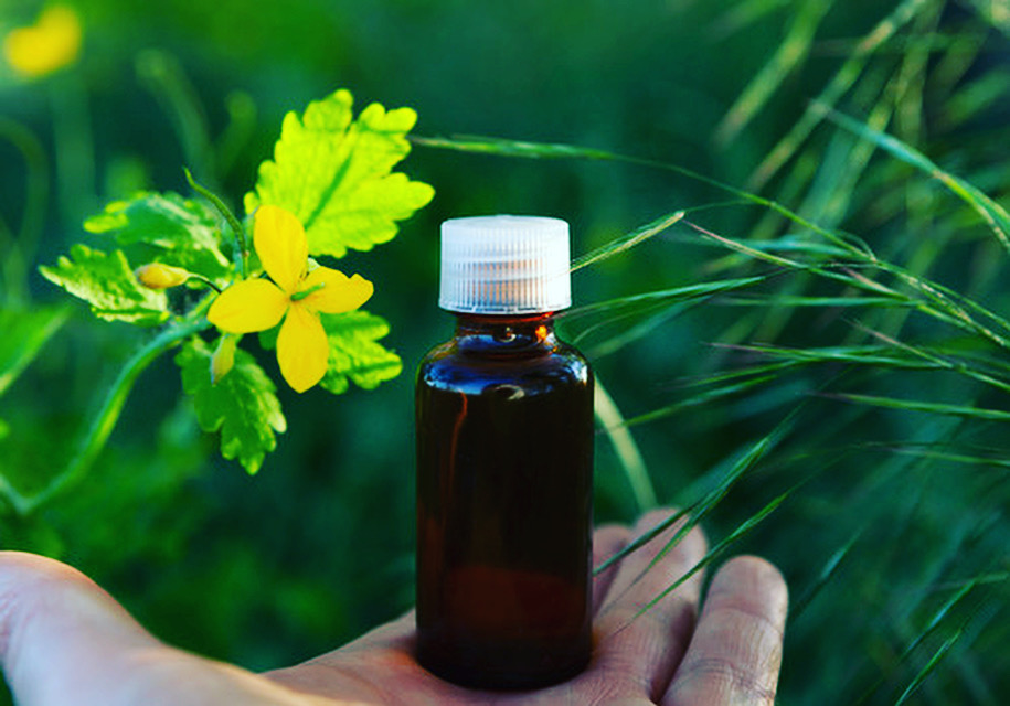 How Homeopathy Works – Art Of Healing